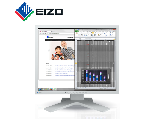 Eizo - FlexScan S1934